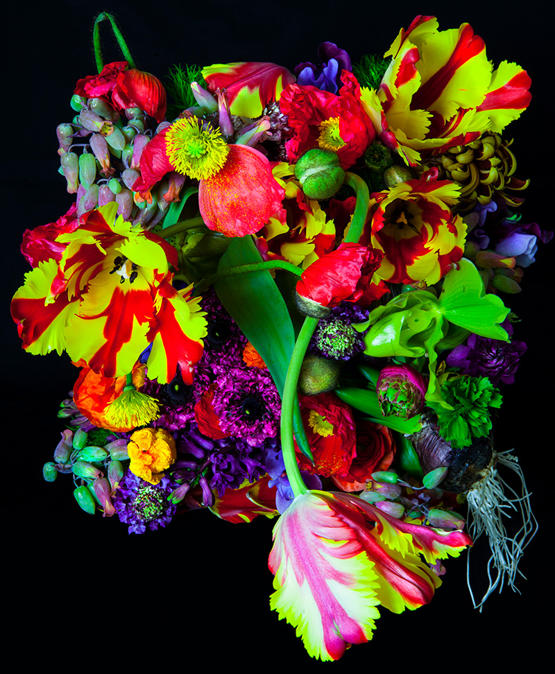 BIONIC PLANTS | 都立大学の花屋ならBIONIC PLANTSへ