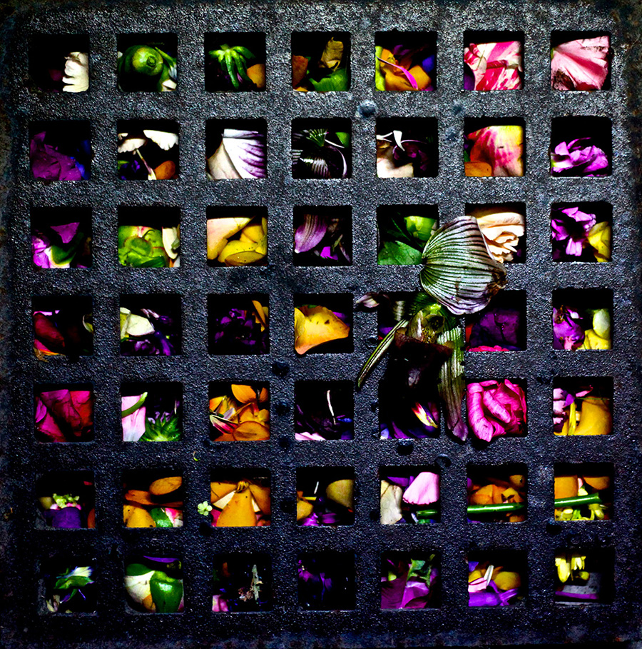 都立大学の花屋・イベント装花ならBIONIC PLANTSへ