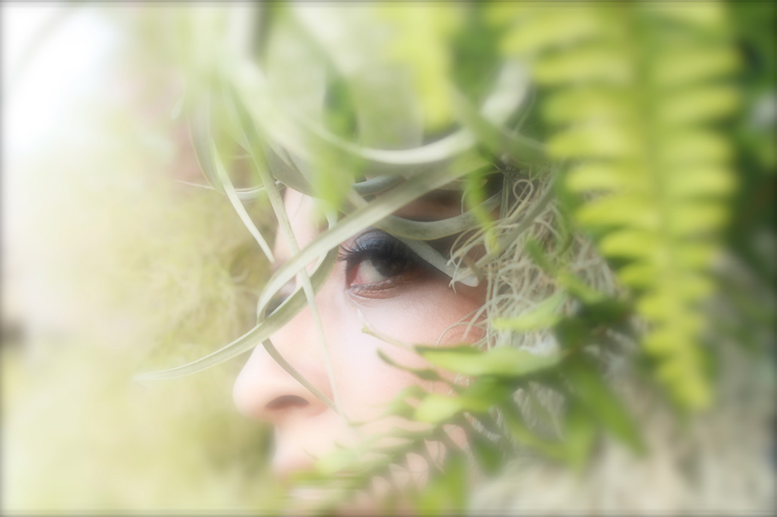 BIONIC PLANTS | 都立大学の花屋ならBIONIC PLANTSへ