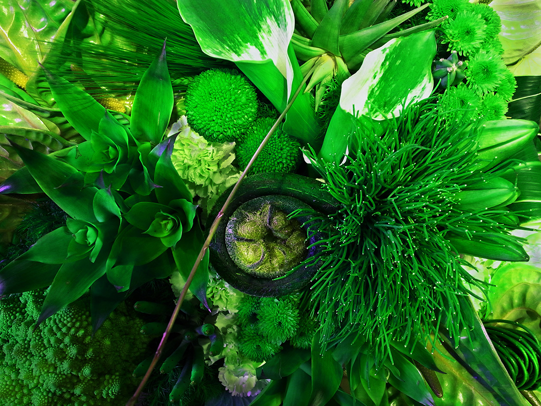 BIONIC PLANTS | 都立大学の花屋ならBIONIC PLANTSへ