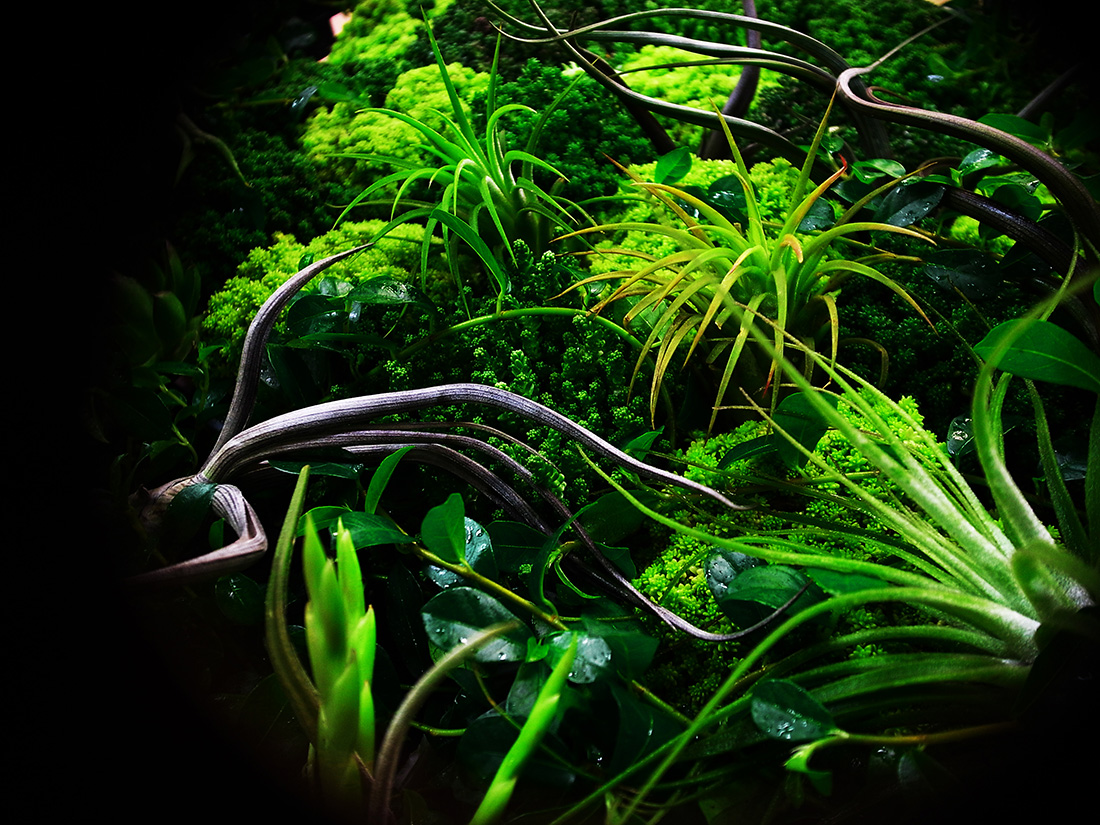 都立大学の花屋・イベント装花ならBIONIC PLANTSへ