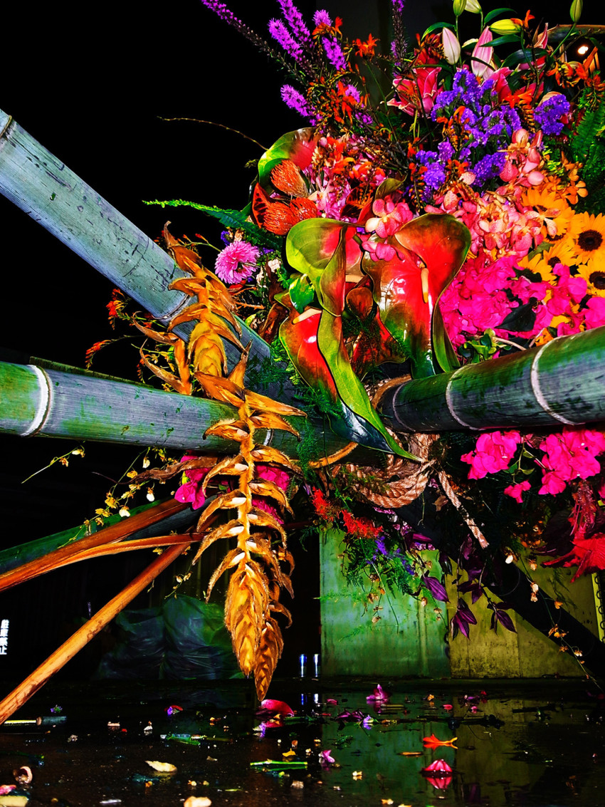 BIONIC PLANTS | 都立大学の花屋ならBIONIC PLANTSへ