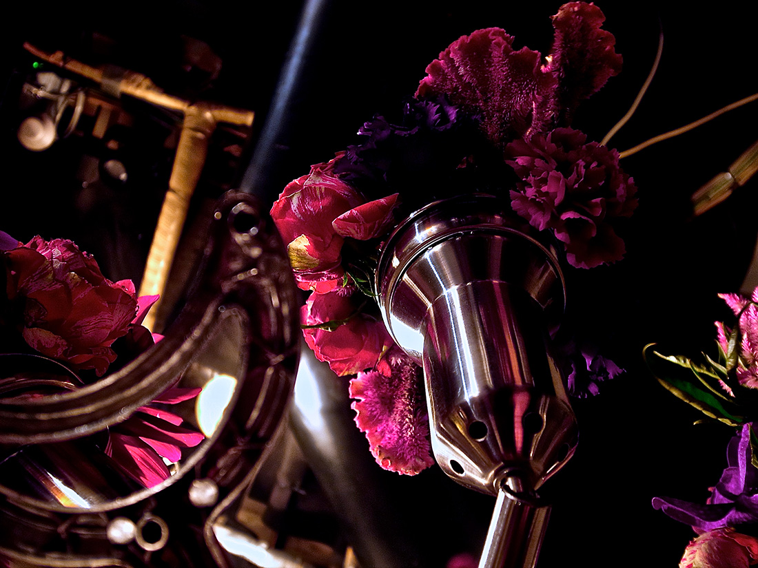 都立大学の花屋・イベント装花ならBIONIC PLANTSへ