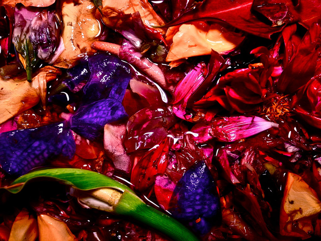 都立大学の花屋・イベント装花ならBIONIC PLANTSへ