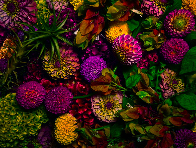 都立大学の花屋・イベント装花ならBIONIC PLANTSへ