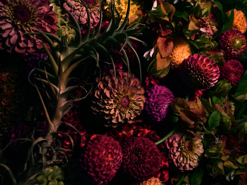 都立大学の花屋・イベント装花ならBIONIC PLANTSへ