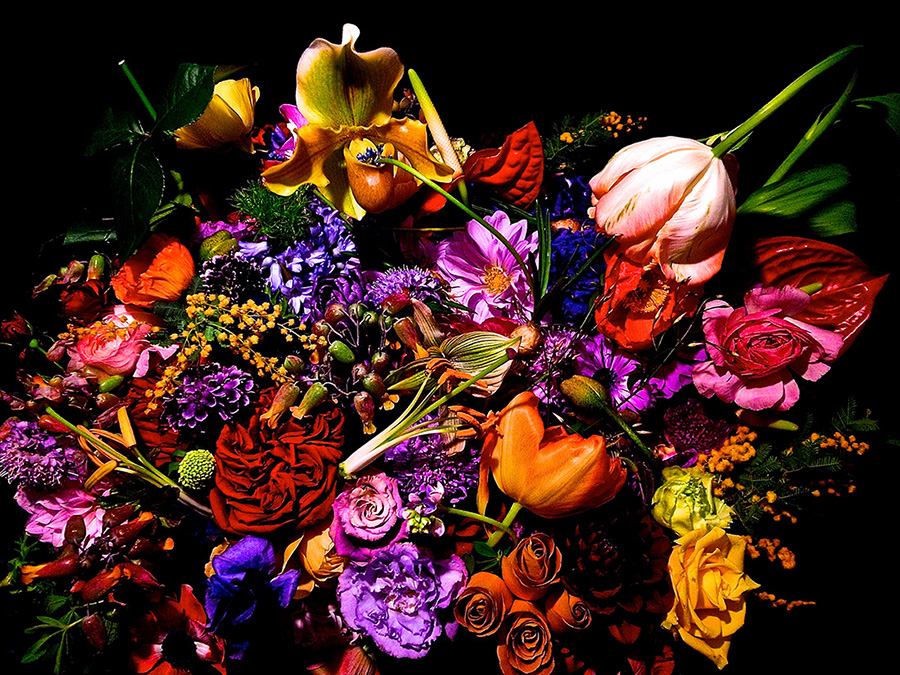 BIONIC PLANTS | 都立大学の花屋ならBIONIC PLANTSへ