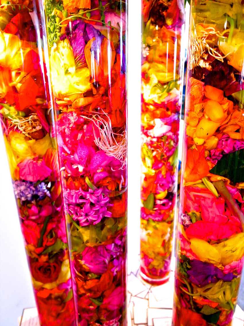 都立大学の花屋・イベント装花ならBIONIC PLANTSへ