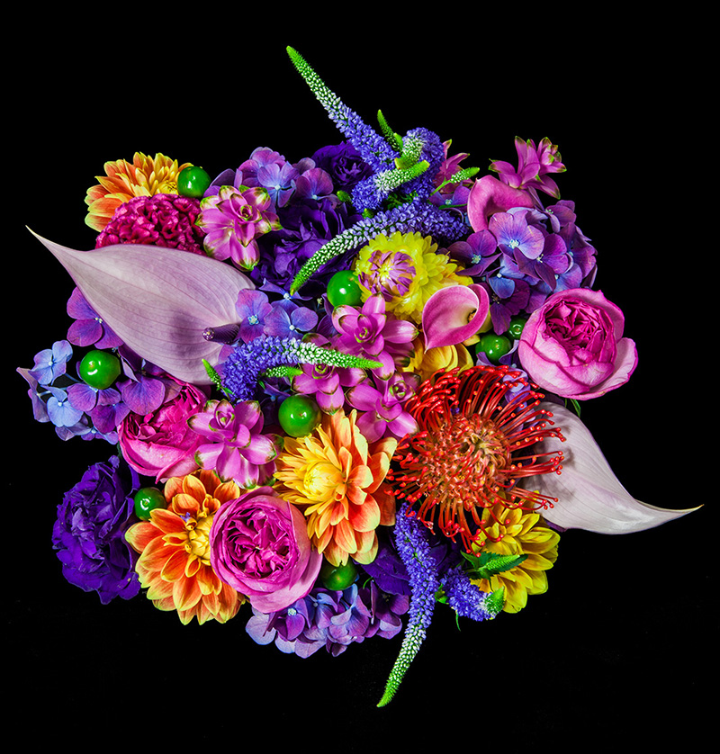 BIONIC PLANTS | 都立大学の花屋ならBIONIC PLANTSへ